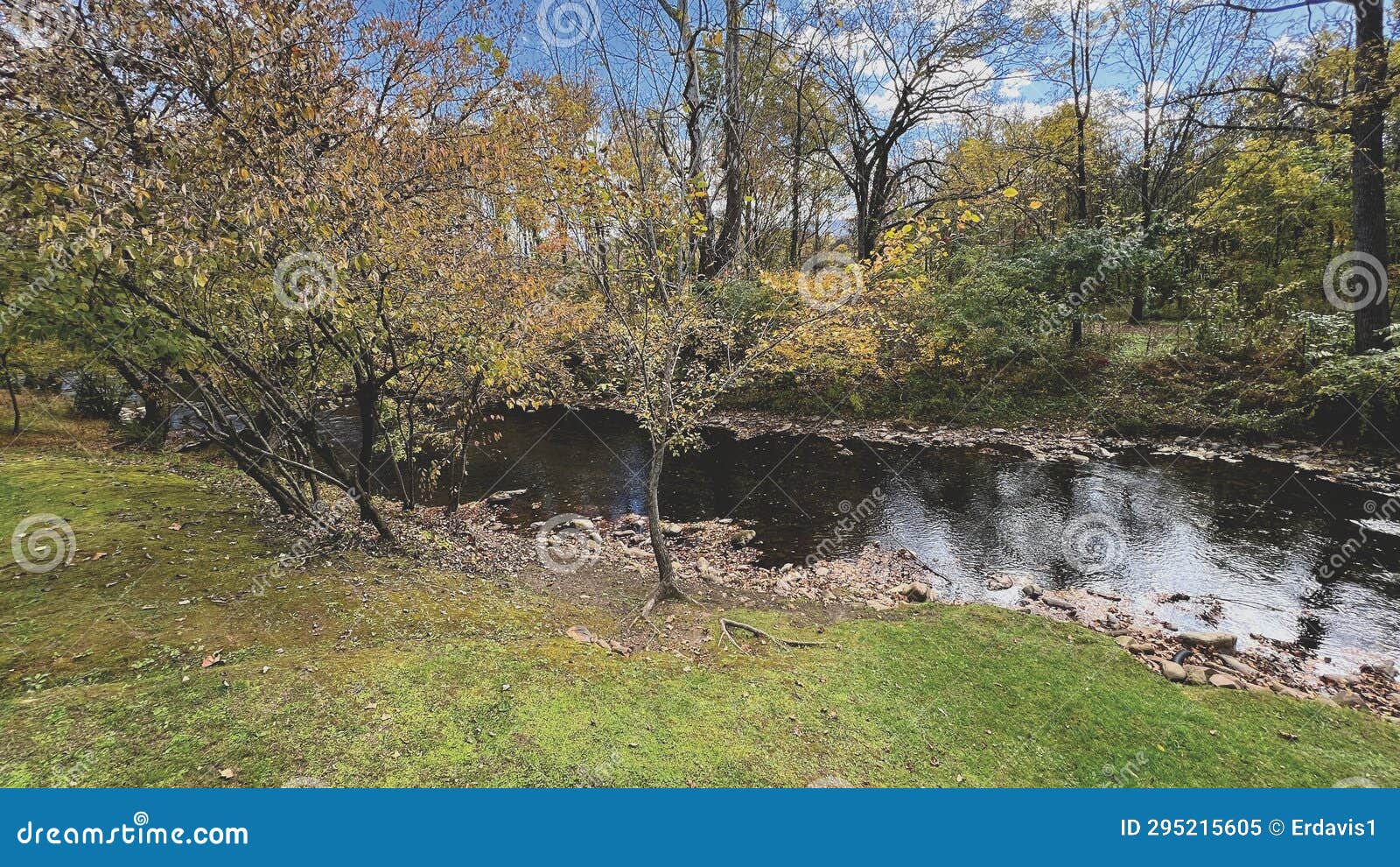 Tree Lined Stream Flowing through the Forest Stock Image - Image of ...