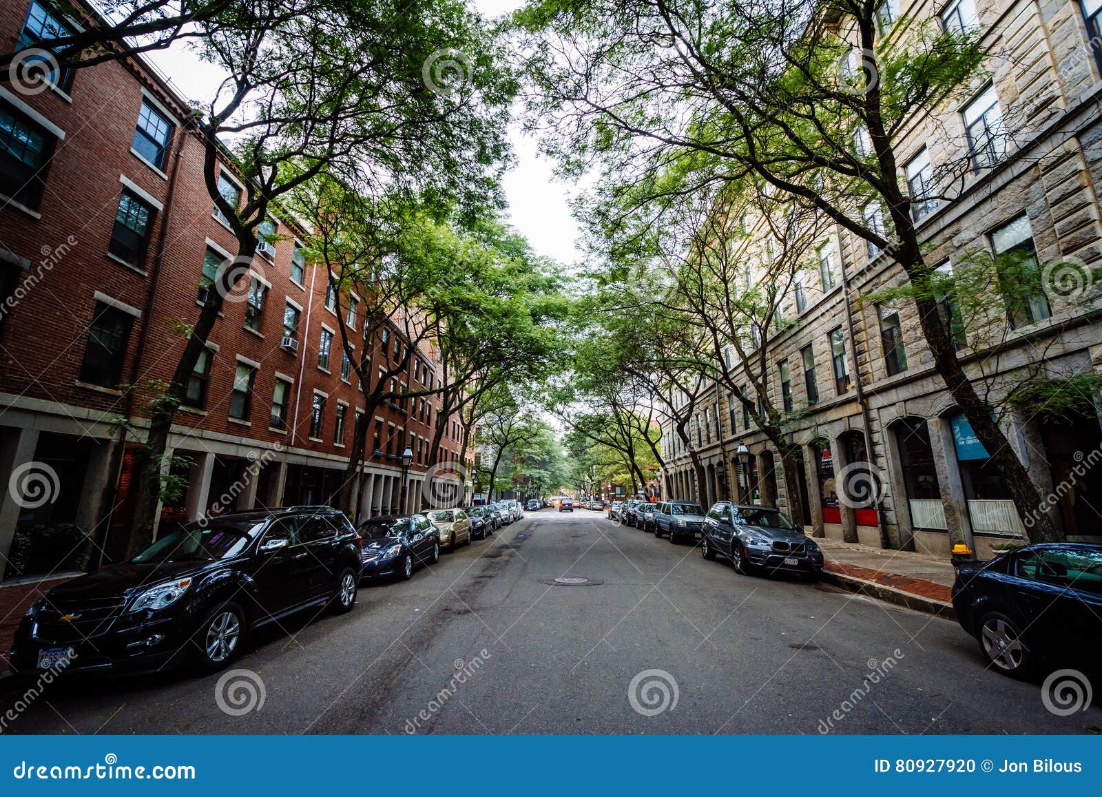 Tree Lined Street in the North End, Boston, Massachusetts. Editorial ...