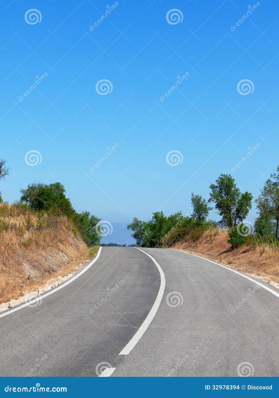 Tree-lined tarred road stock photo. Image of roadway - 32978394