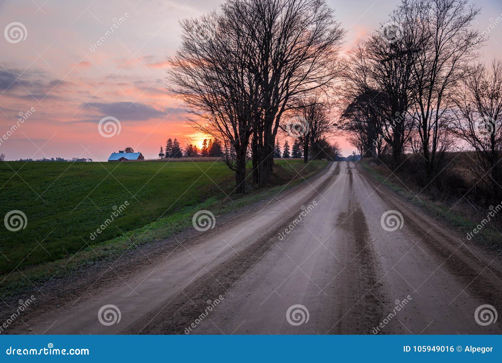 Tree Lined Unpaved Country Road at Sunset Stock Photo - Image of ...