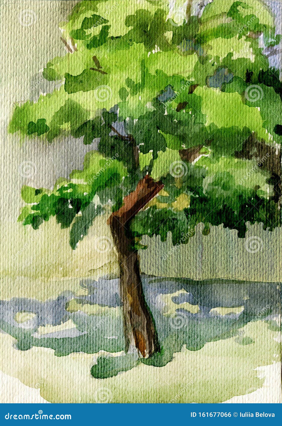 Tree Lit by the Sun. Watercolor Drawing Stock Photo - Image of element ...