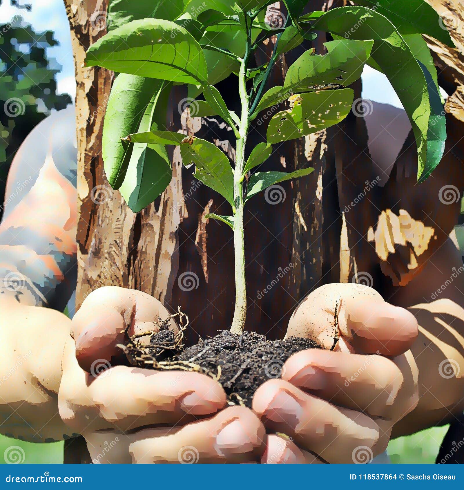 Little tree stock illustration. Illustration of plant - 118537864