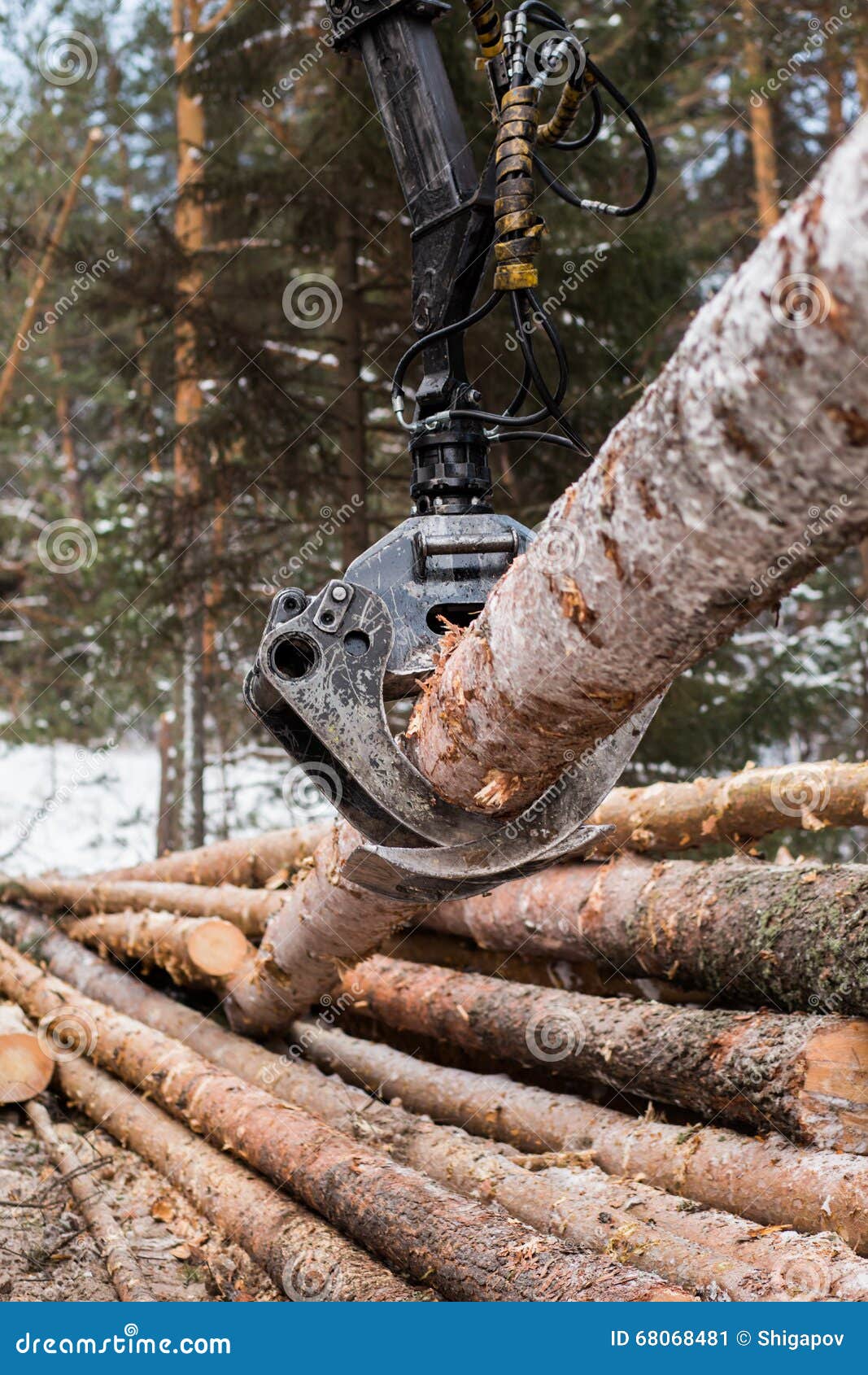 Tree Log Hydraulic Manipulator Stock Image - Image of equipment ...