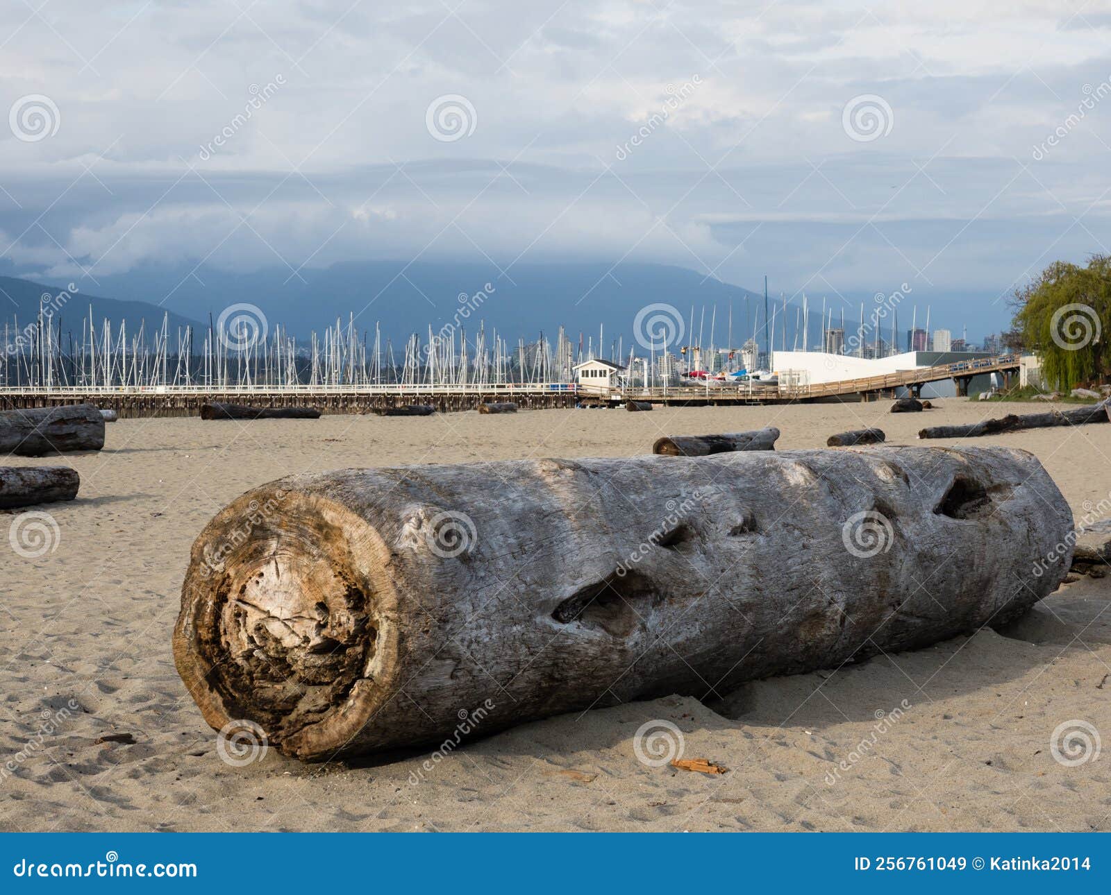 Tree Log on Jericho Beach in Vancouver Stock Image - Image of tree ...