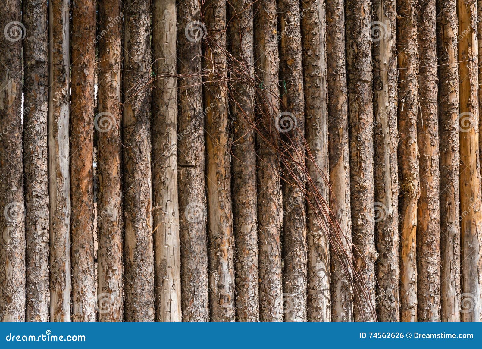 Tree log post fence stock photo. Image of material, pattern - 74562626