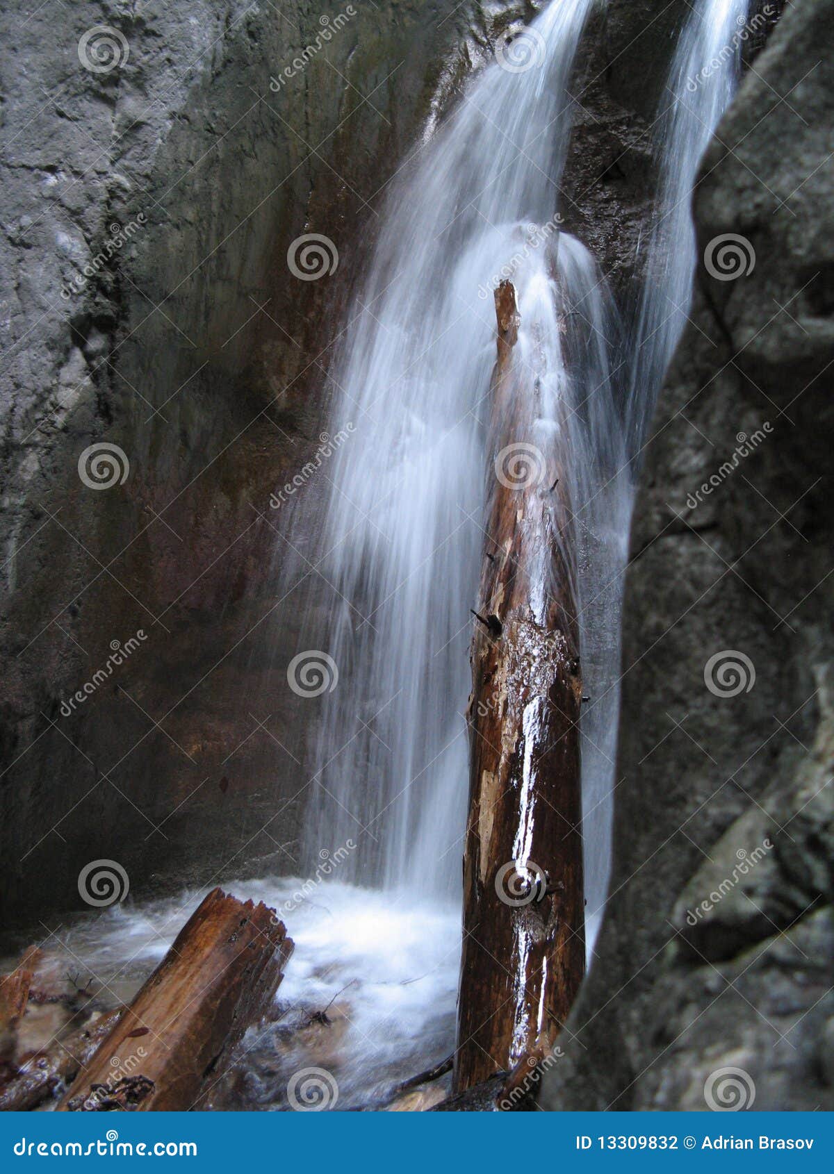 A Tree Log Under a Waterfall Stock Photo - Image of waterfalls, water ...