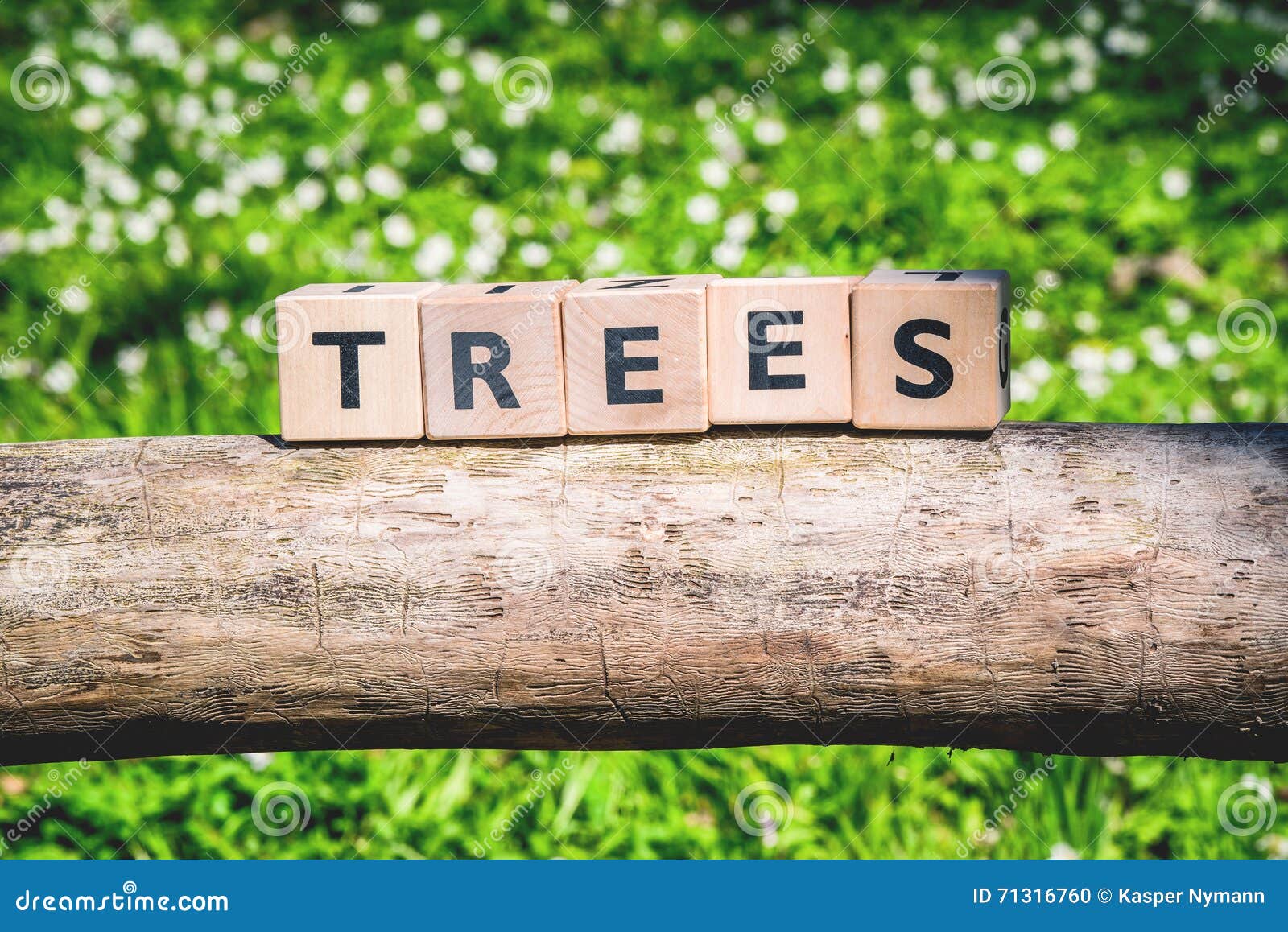 Tree Log with a Wooden Sign Stock Photo - Image of botany, message ...