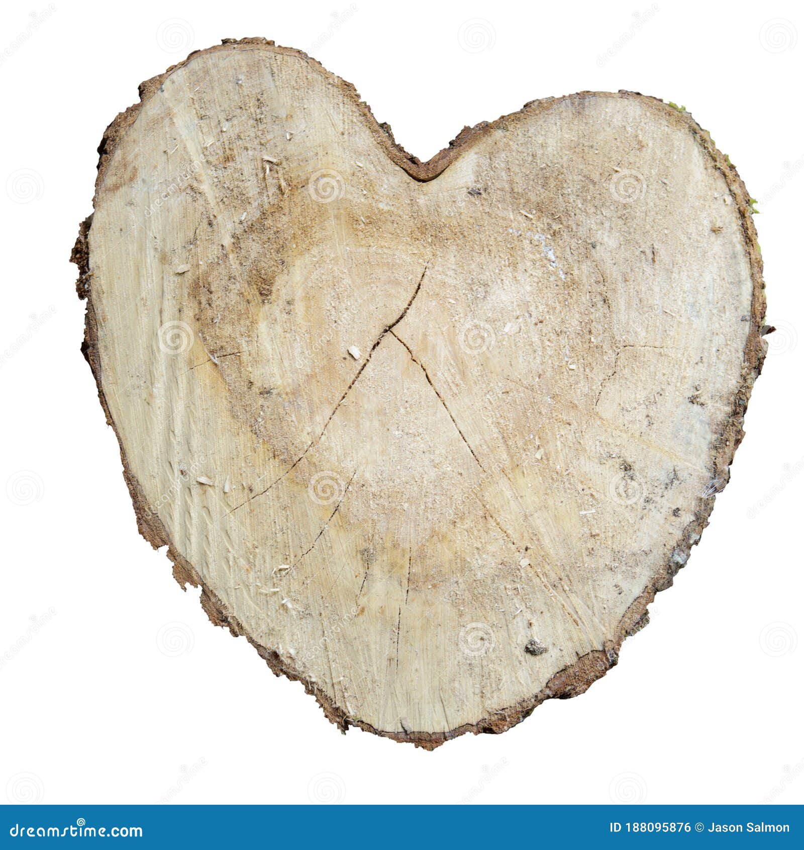 Tree cut up into logs stock photo. Image of outdoors - 188095876