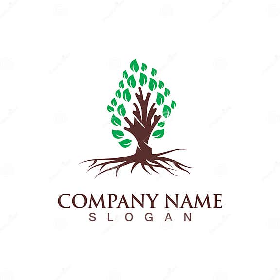 Tree Logo Nature Design Image of Tree Ecology Element Vector Stock ...