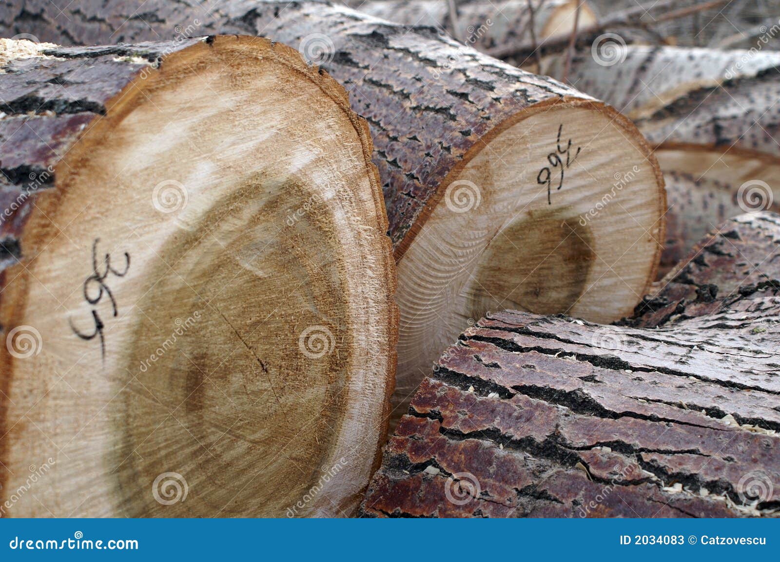Tree logs stock image. Image of natural, pattern, background - 2034083