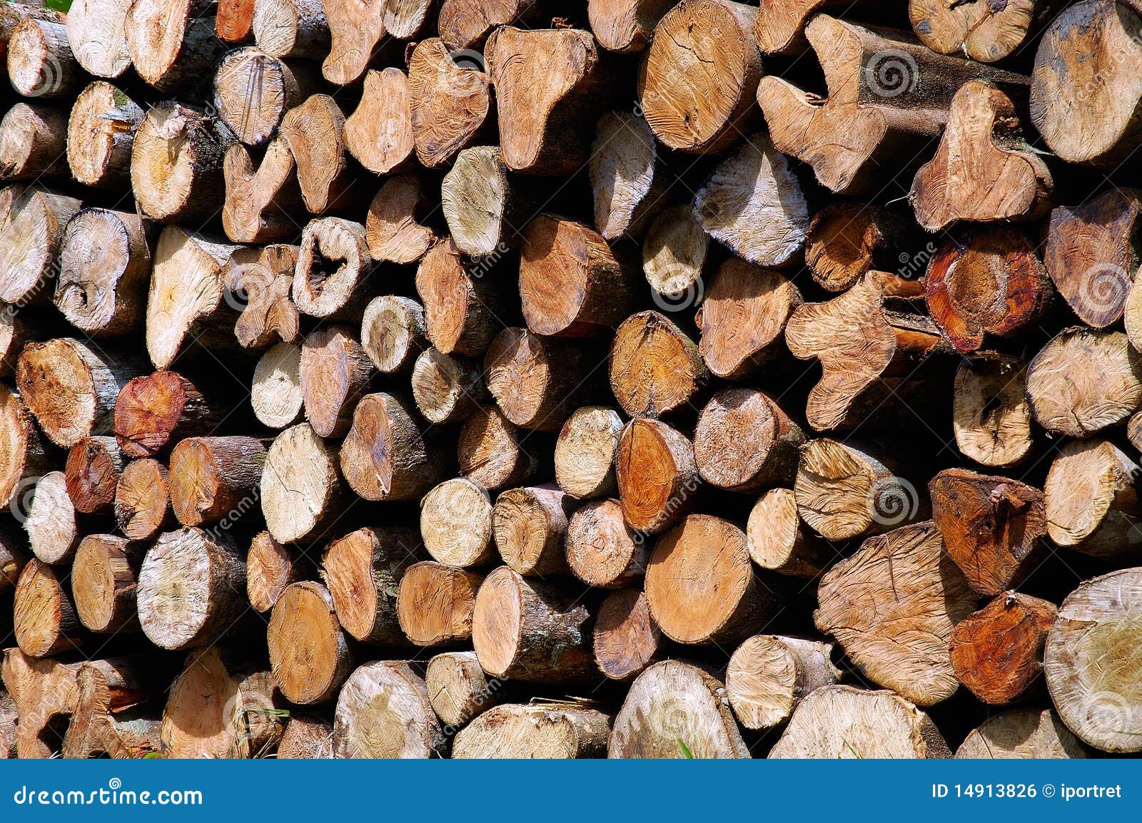 Tree logs background stock photo. Image of trees, abstract - 14913826