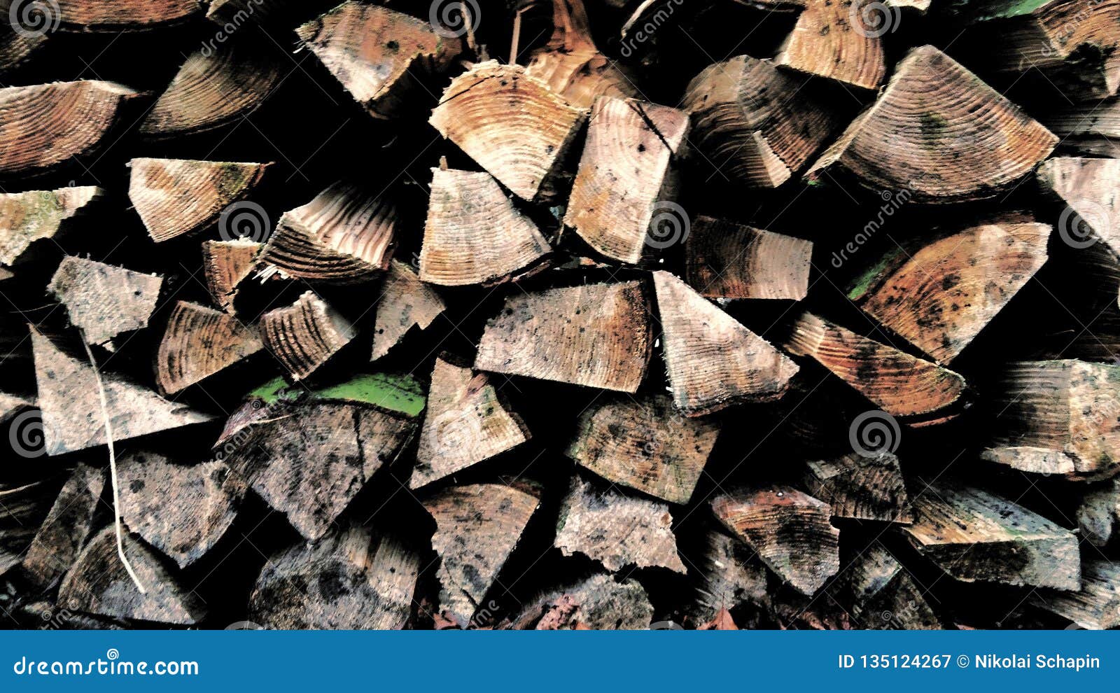Tree logs stock image. Image of tree, logs - 135124267
