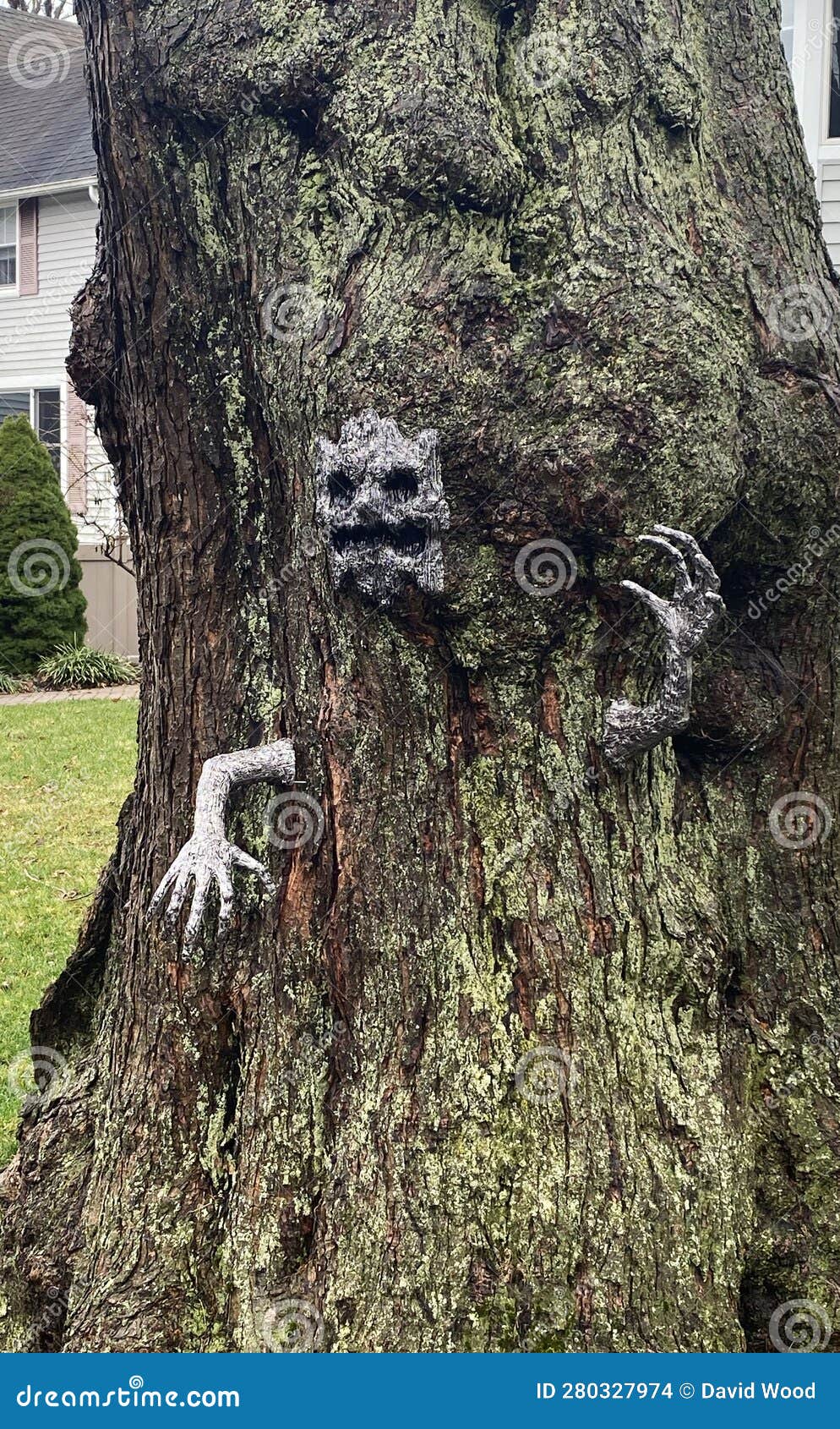 Tree Looks Like it Has a Monster Inside of it Stock Photo - Image of ...