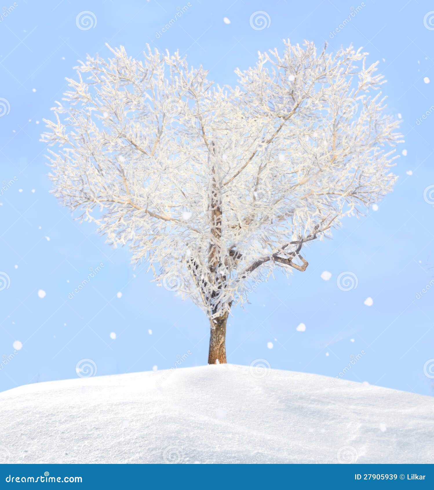 Tree of love stock image. Image of cloudless, outdoors - 27905939