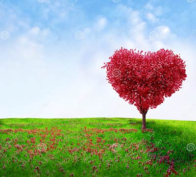 Tree of love stock photo. Image of abstract, beautiful - 29384260