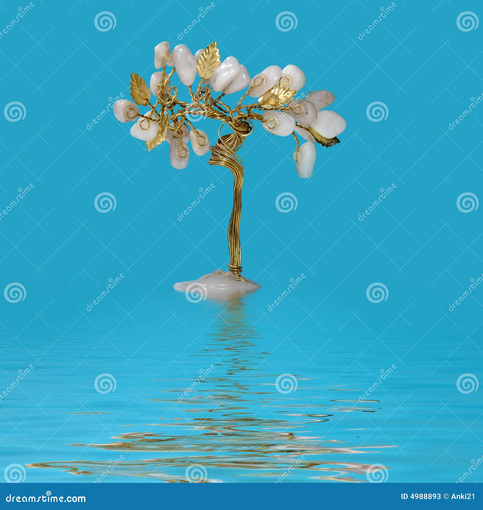Tree of Luck in Water Growing Stock Image - Image of isolated, branch ...