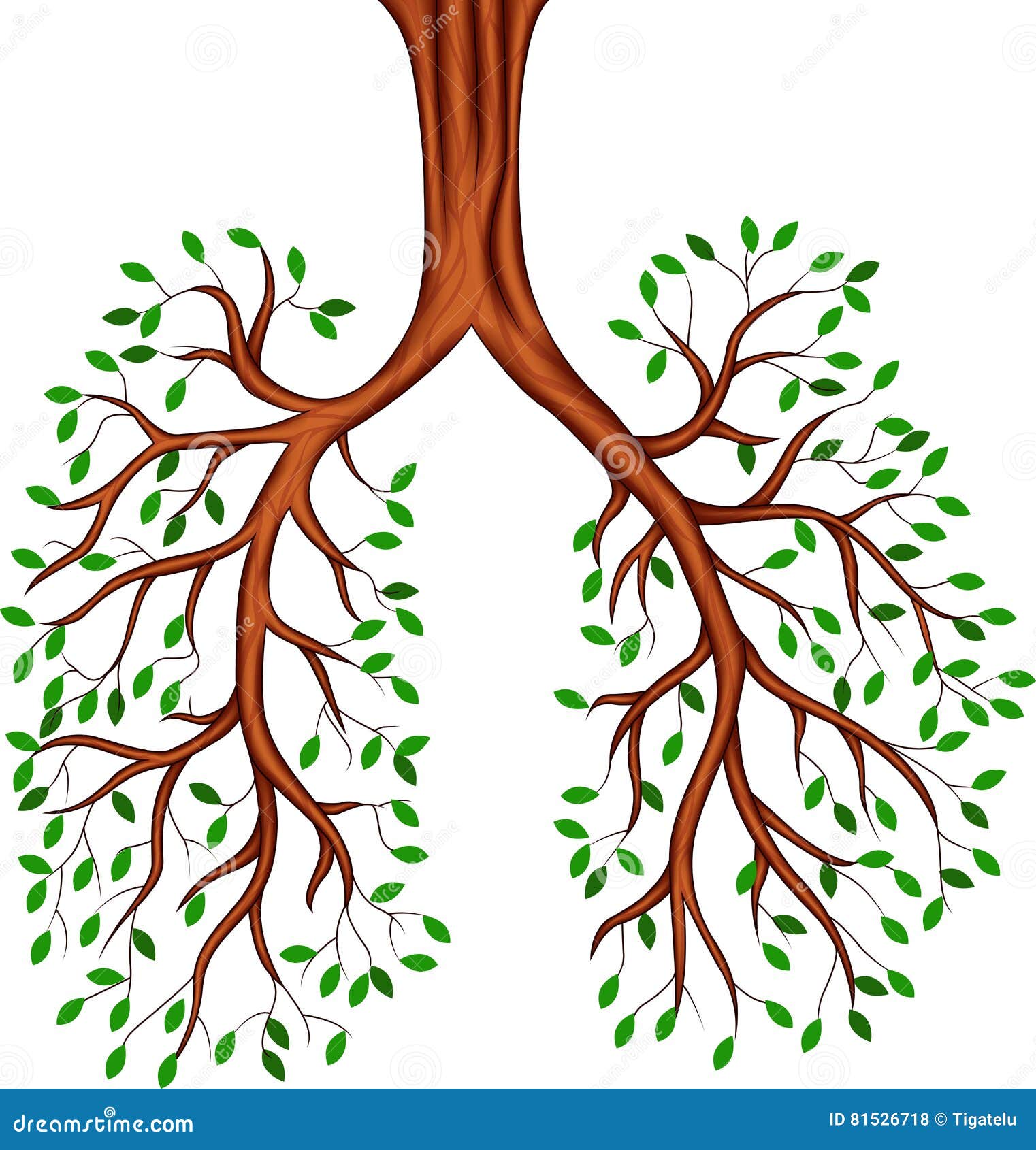 Tree Lungs Cartoon, Vector Illustration | CartoonDealer.com #81526718
