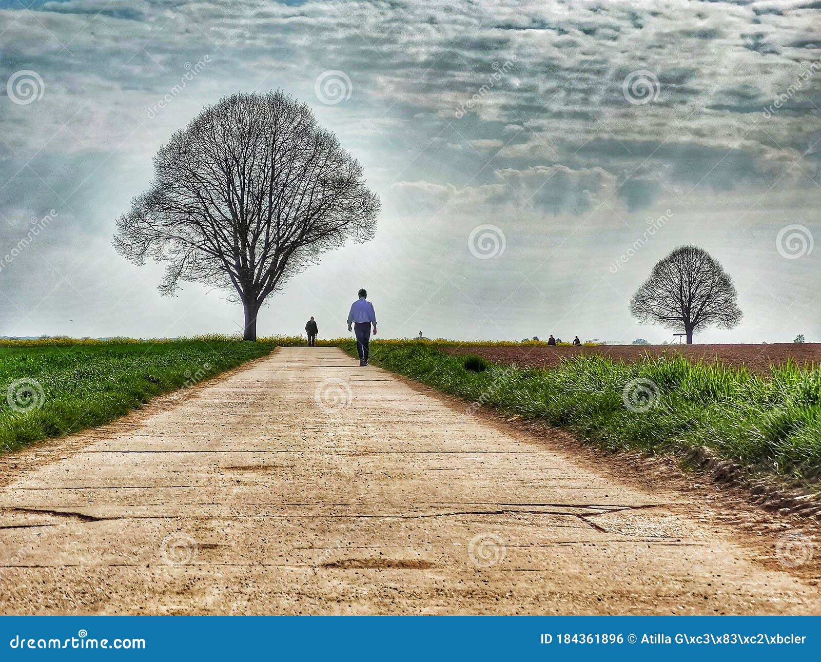 Tree and man stock photo. Image of sunlight, flower - 184361896