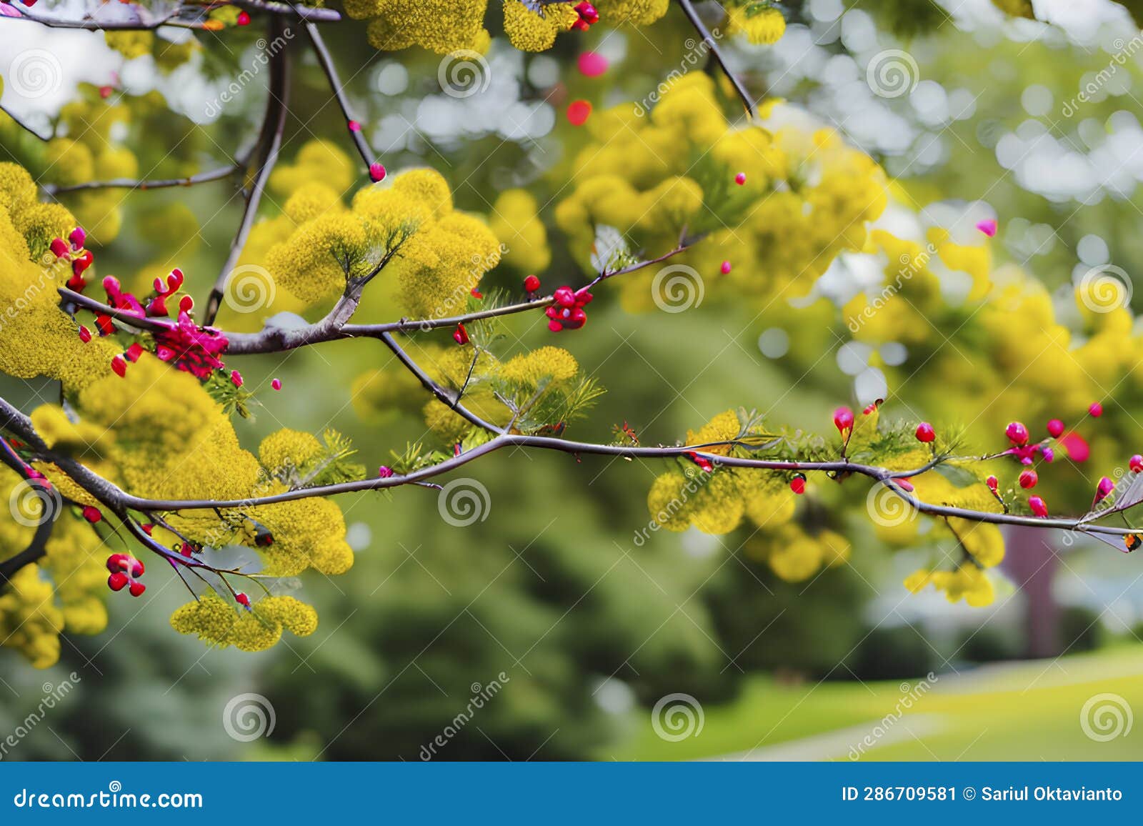 Tree with Many Branches Decorated with Small Yellow and Red Flowers ...