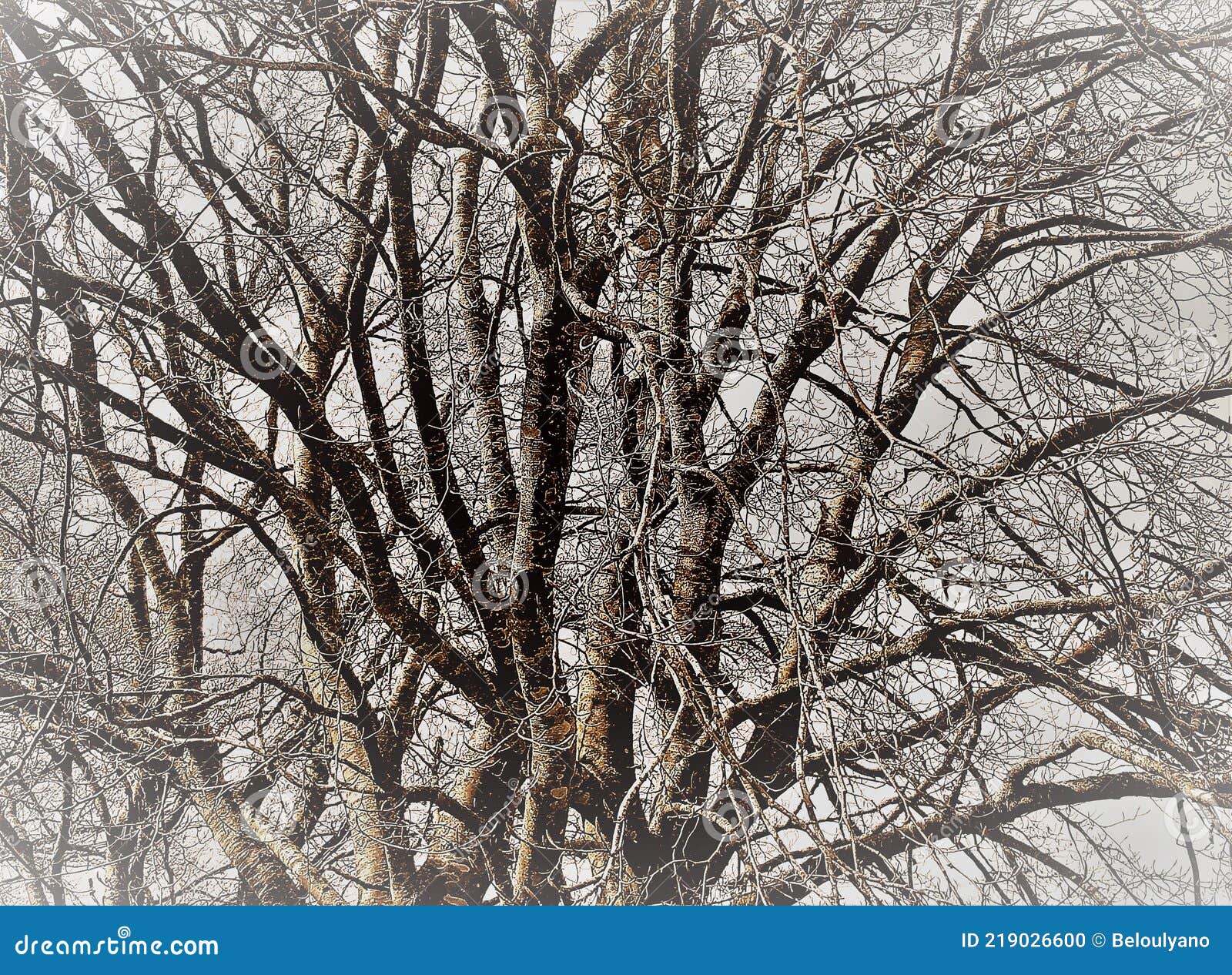 Tree with Many Dark Crossing Branches without Leaves Stock Photo ...