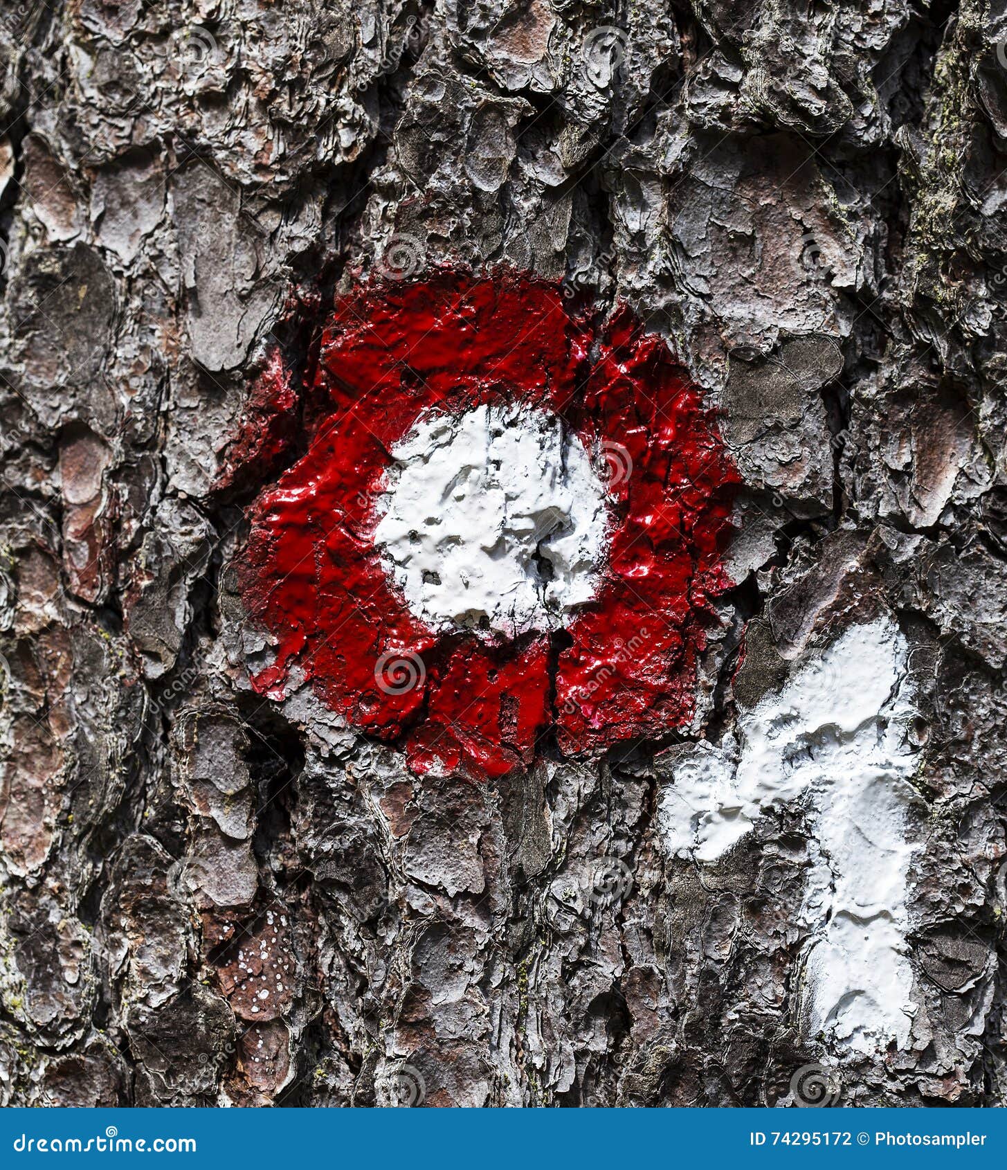 Tree mark with a number stock photo. Image of running - 74295172