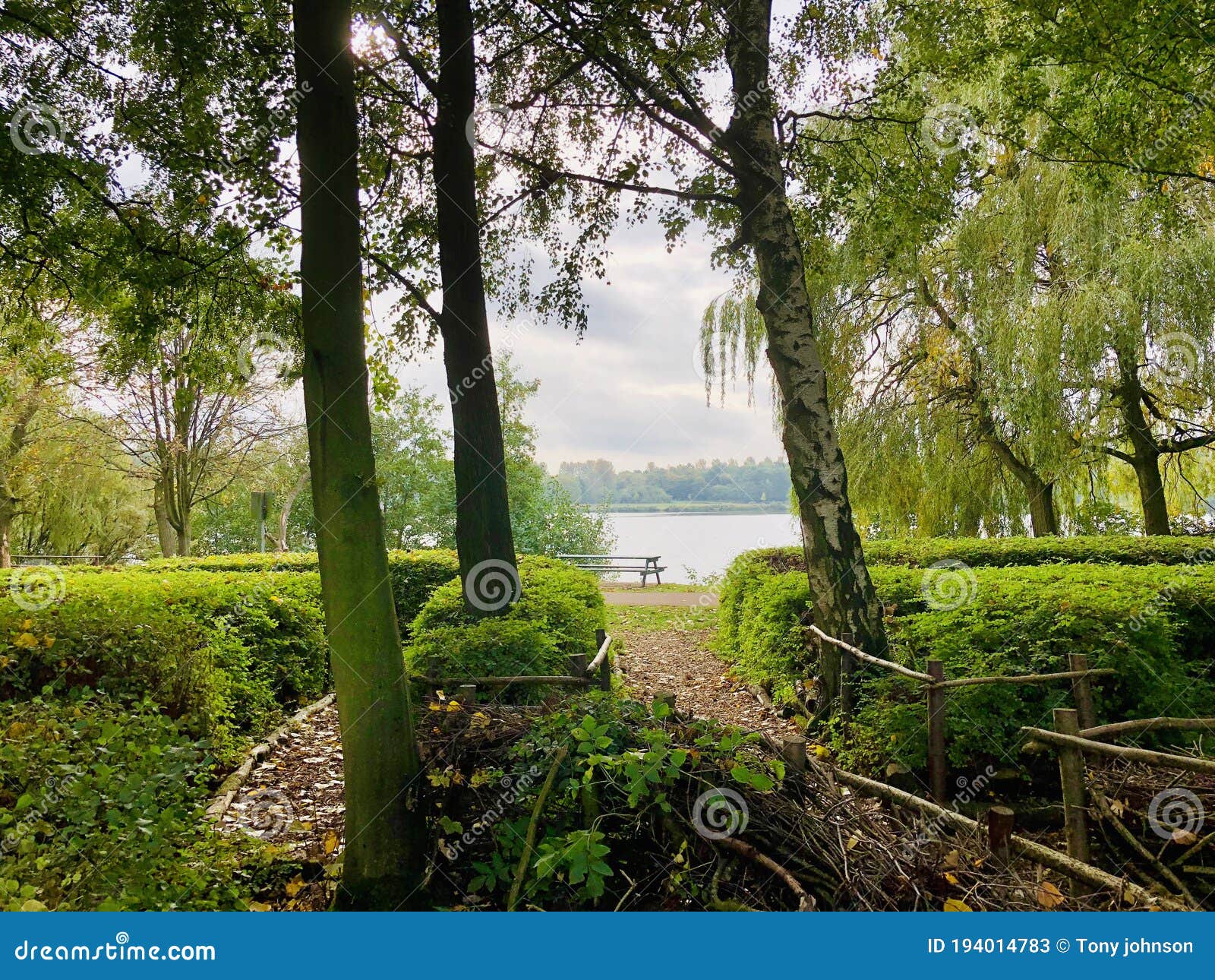 Tree maze stock image. Image of shot, tree, maze, back - 194014783