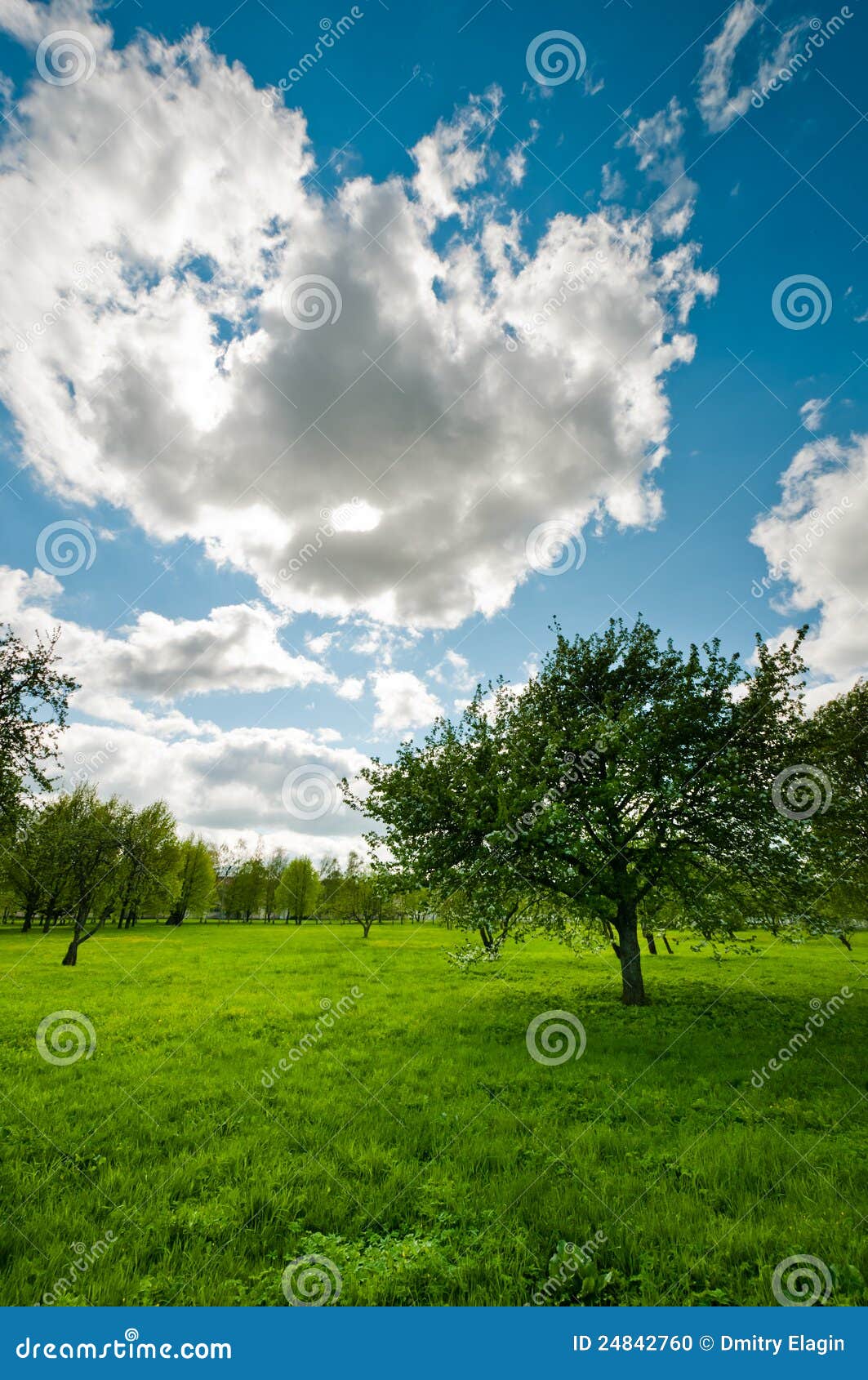 Tree on meadow landscape stock photo. Image of cloud - 24842760