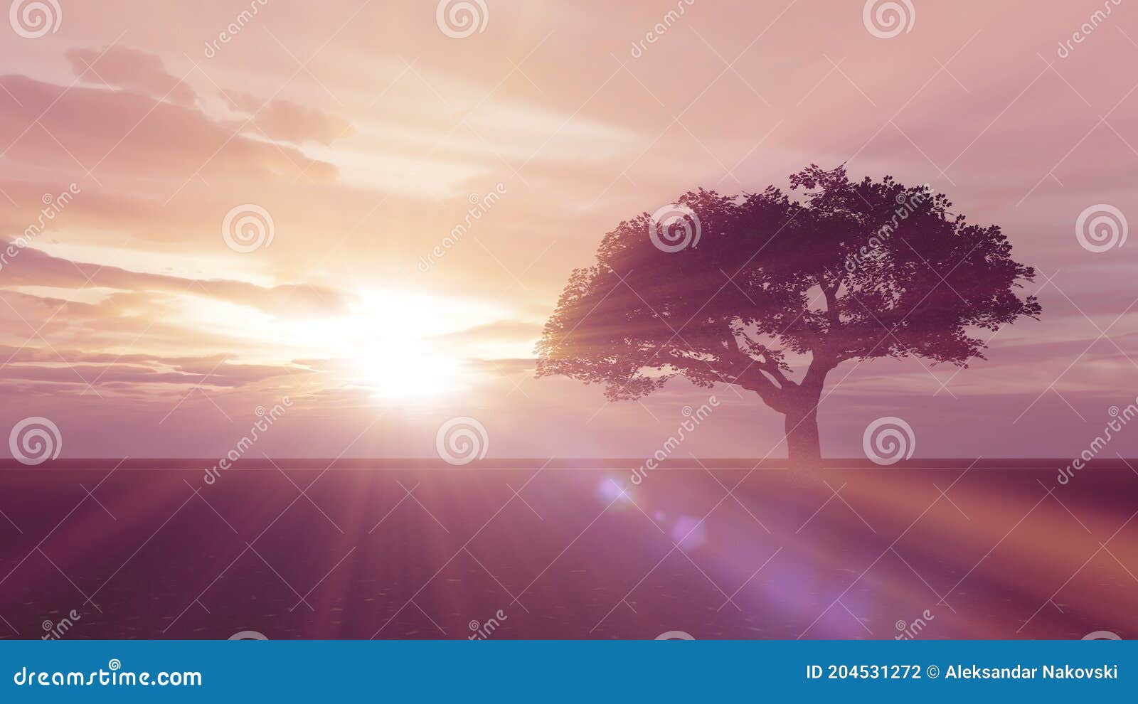Tree in the meadow sunset stock illustration. Illustration of clouds ...