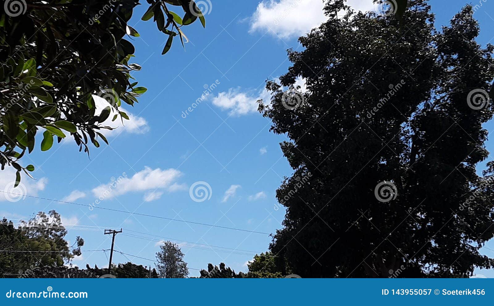 Tree D and Meditation stock image. Image of meditation - 143955057