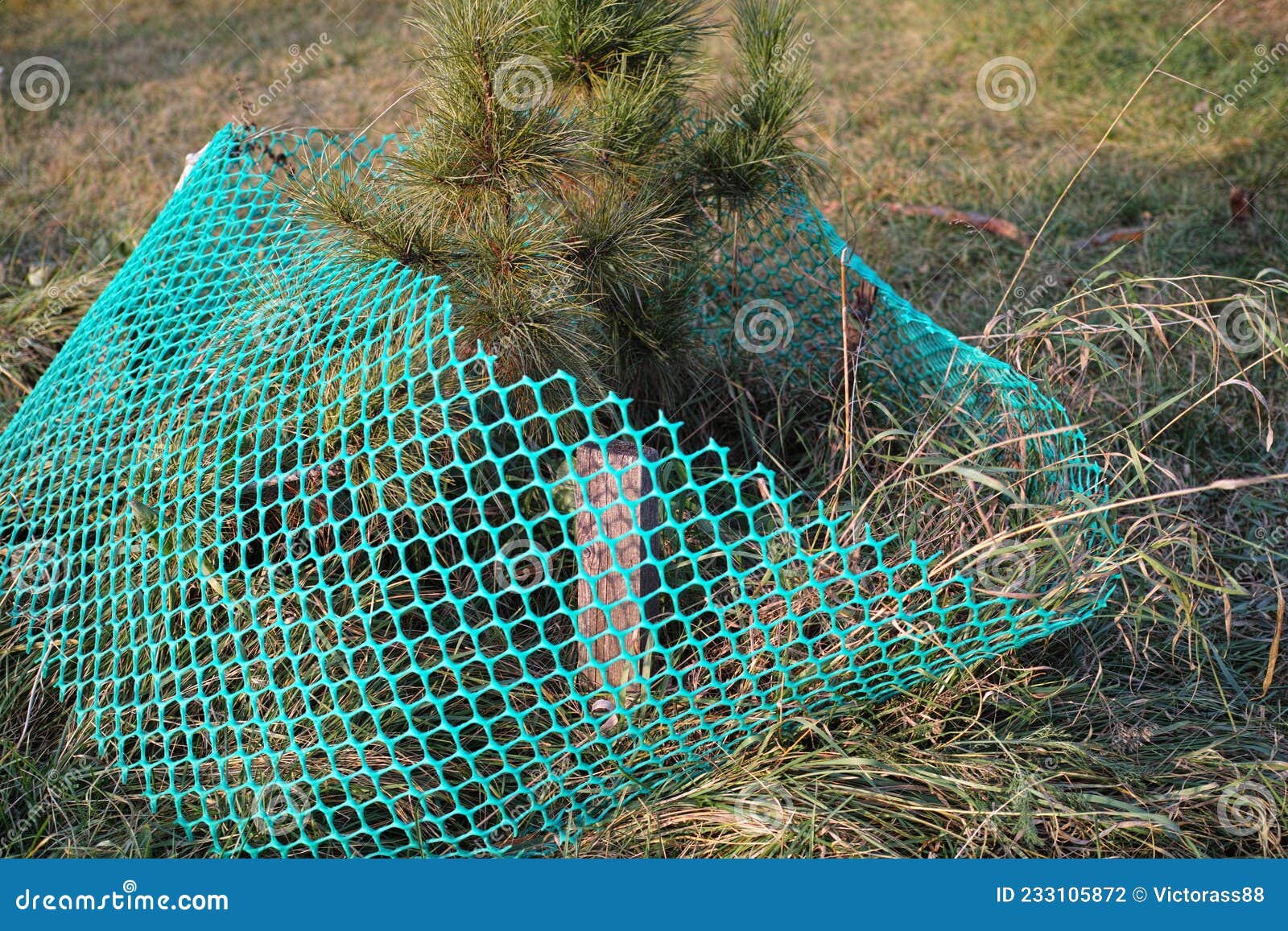 Tree mesh guard stock photo. Image of nature, guard - 233105872