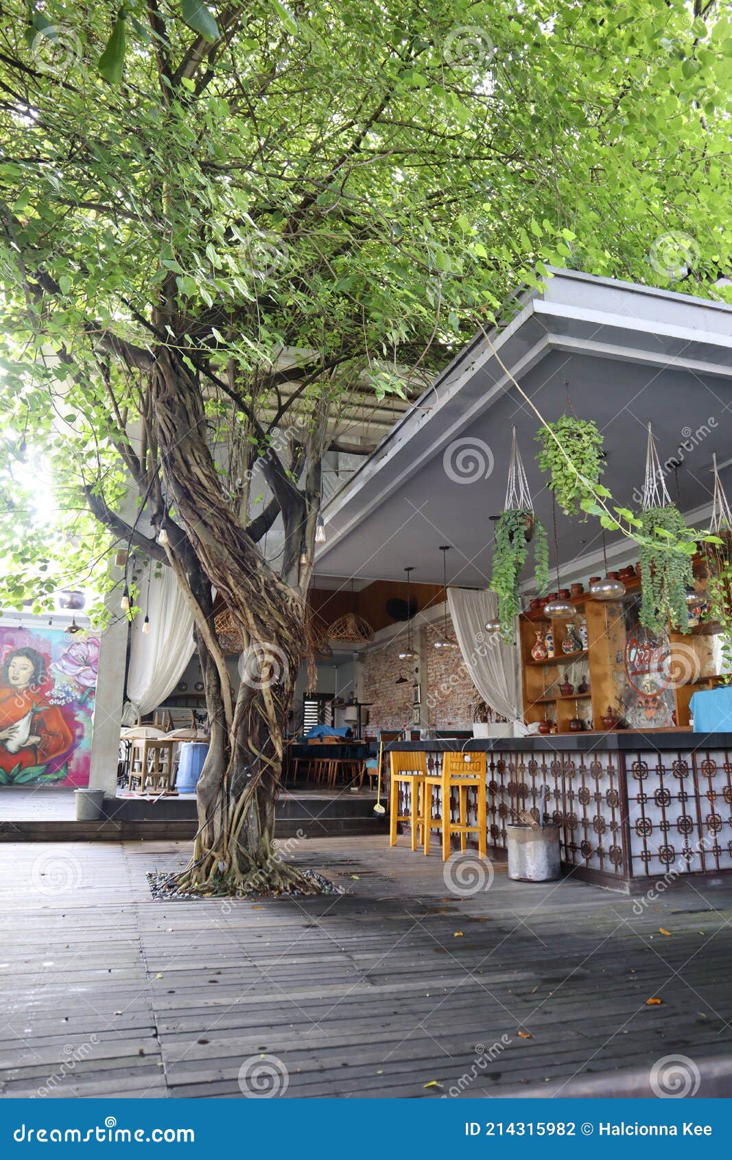 Tree in the Middle of Abandoned Restaurant Editorial Photography ...