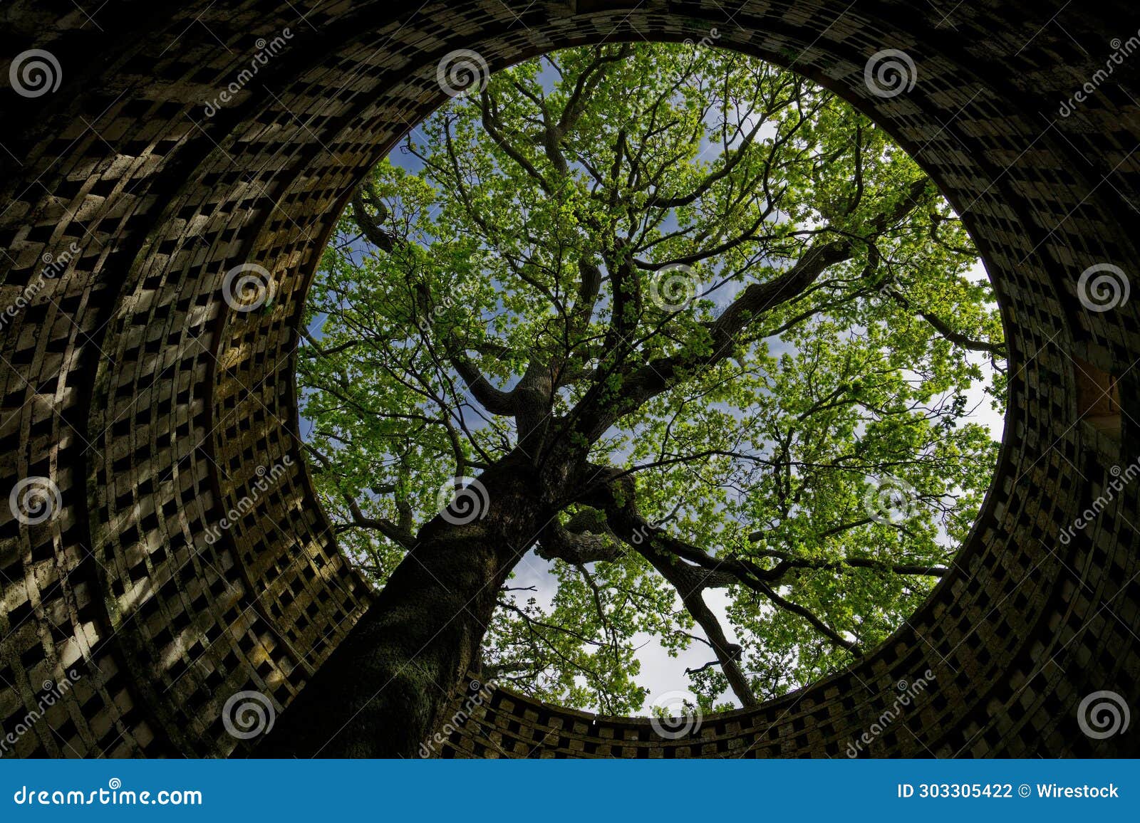 The Tree in the Middle of a Circular Brick Structure is Shown Stock ...