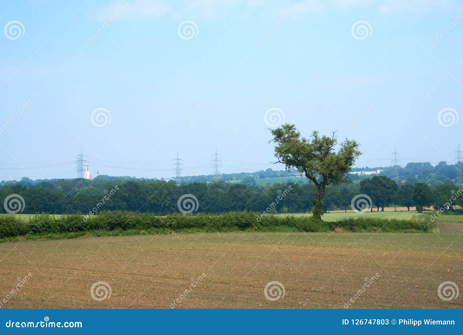 Tree in a Middle of a Field Stock Image - Image of luxury, concept ...