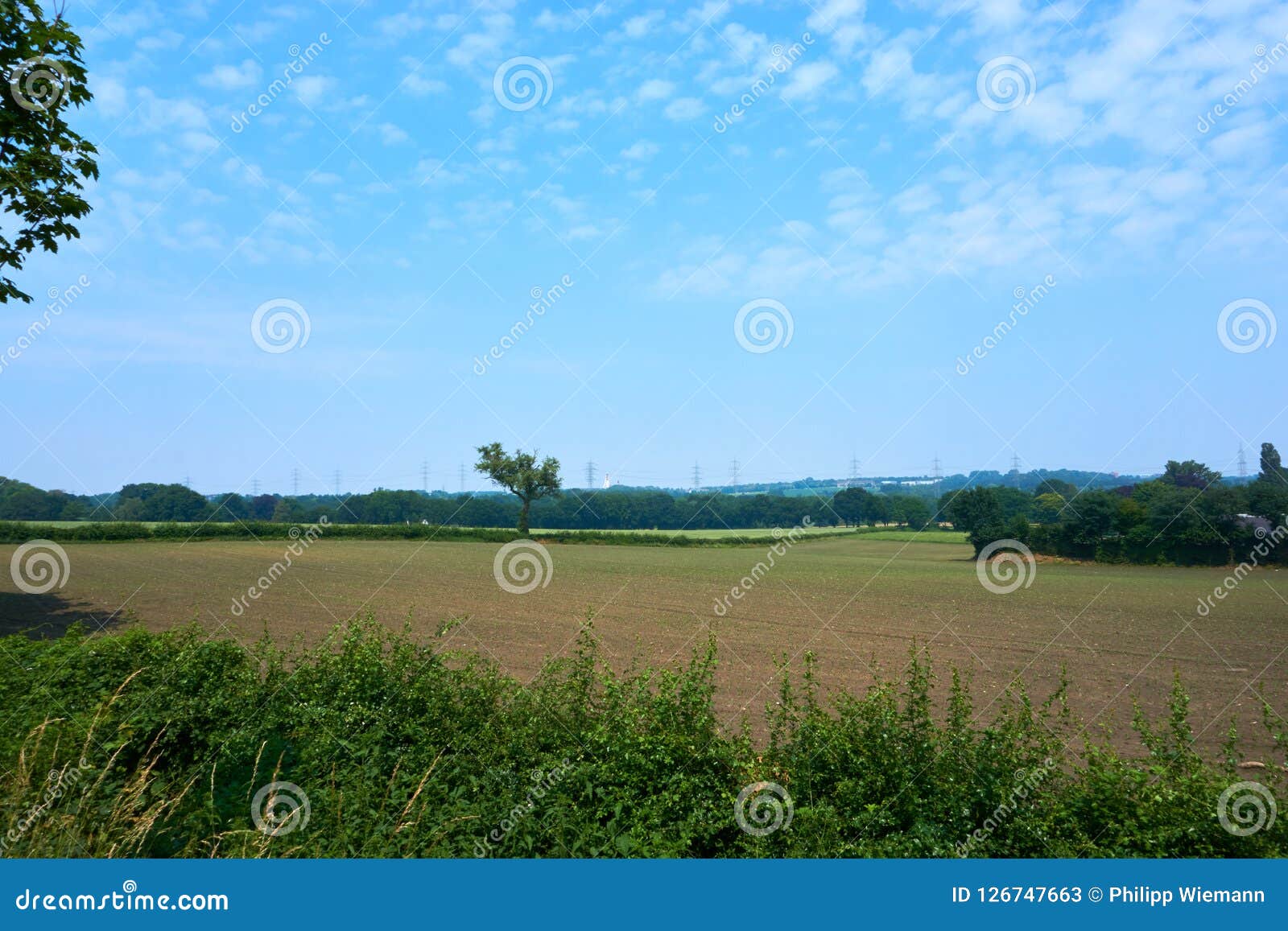 Tree in a Middle of a Field Stock Image - Image of landscape, clouds ...