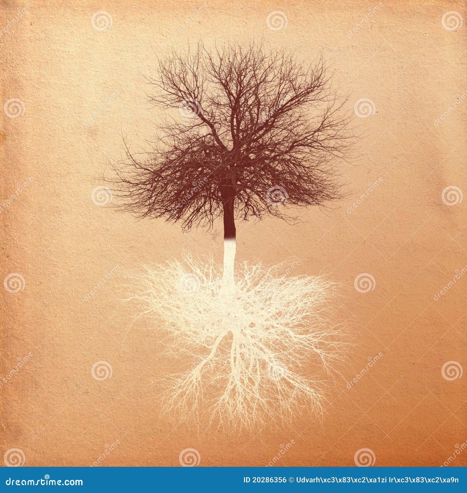 Tree and mirror stock illustration. Illustration of paperboard - 20286356