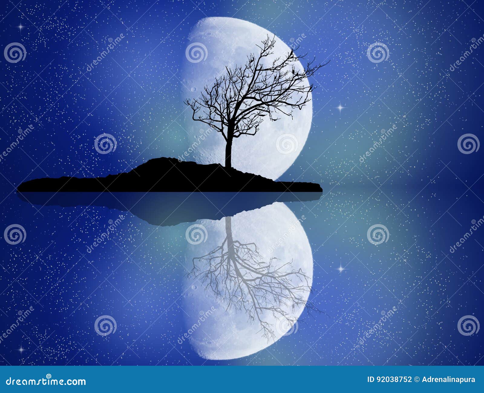Tree in the mirror stock illustration. Illustration of water - 92038752