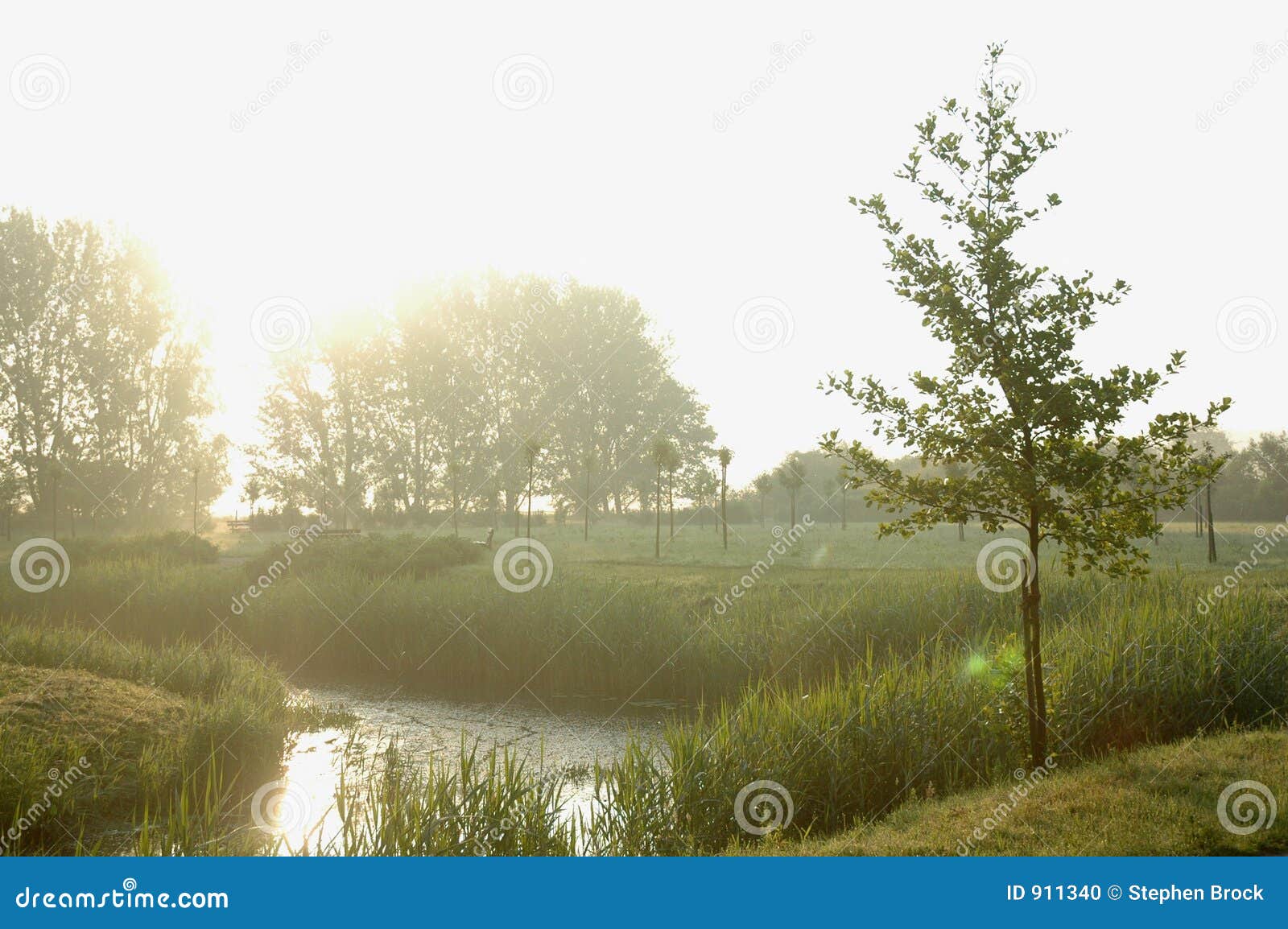 933 Small Moat Stock Photos - Free & Royalty-Free Stock Photos from ...