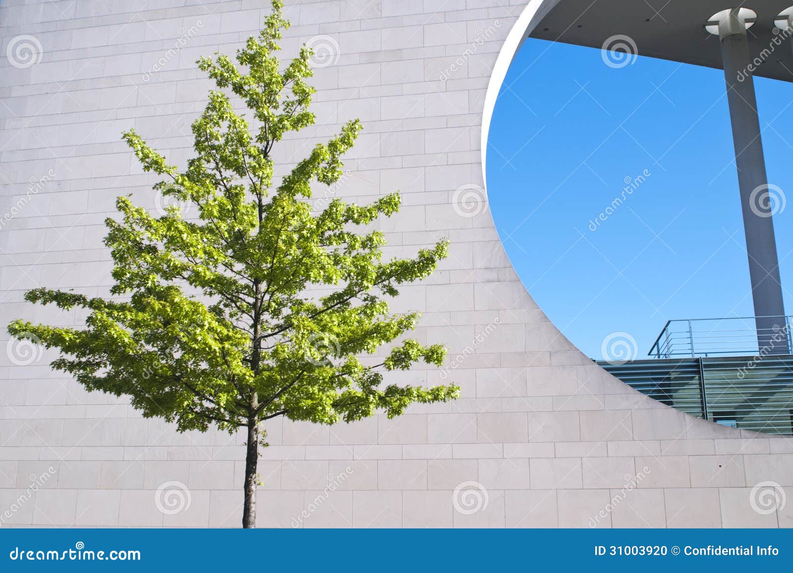 Tree and Modern Architecture Stock Photo - Image of round, architecture ...