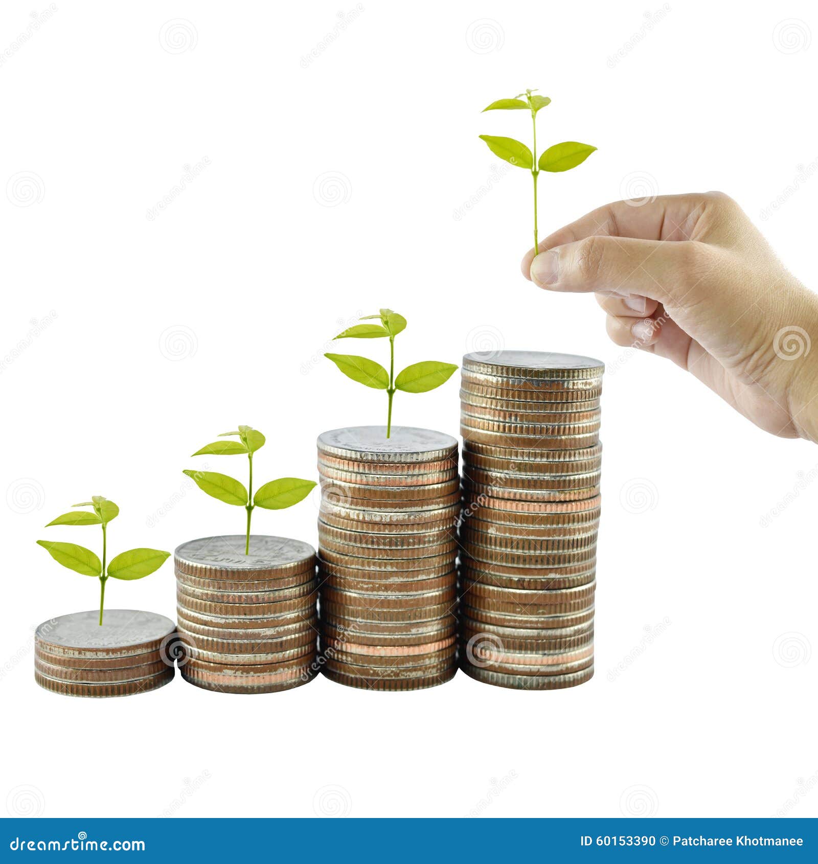Tree on Money Growth Concept in Business Stock Photo - Image of grow ...