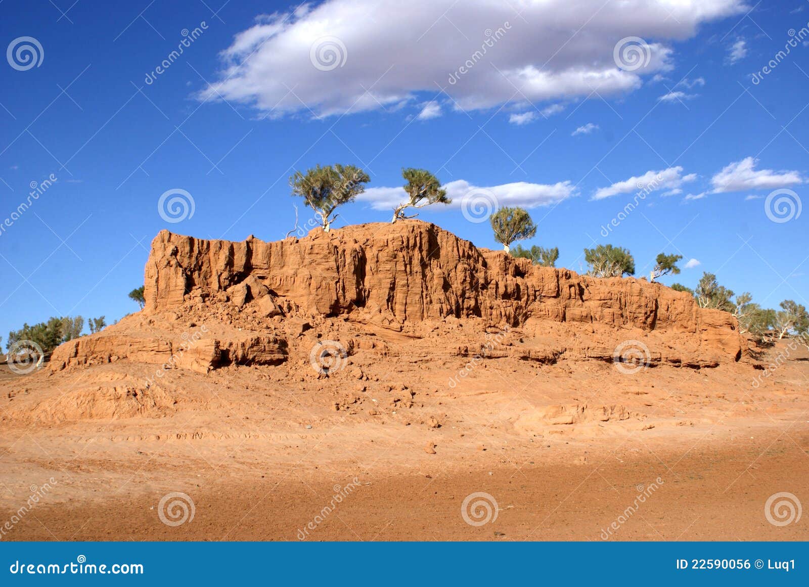 Tree in Mongolia stock photo. Image of journey, kazakhstan - 22590056