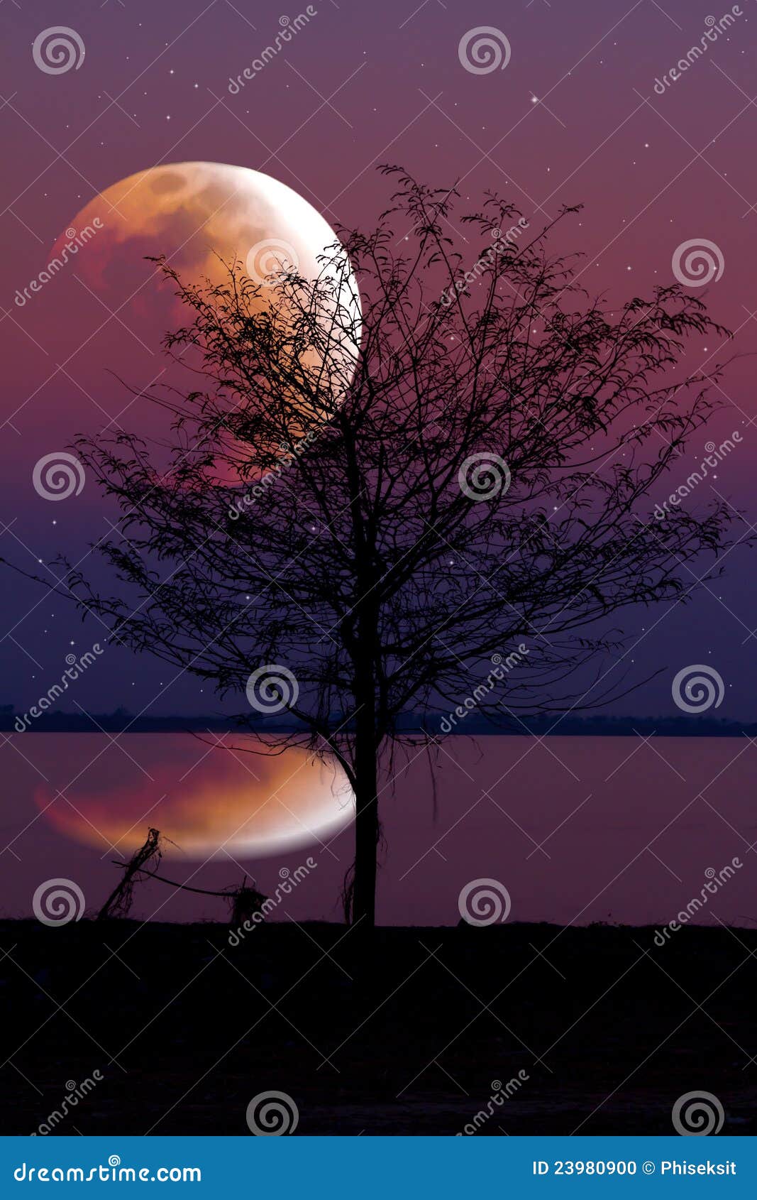 Tree on the moon stock photo. Image of landscape, natural - 23980900