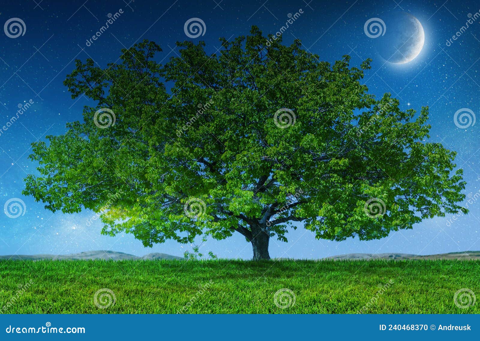 Tree and Moon, Green Grass Field Landscape in Night Stock Photo - Image ...