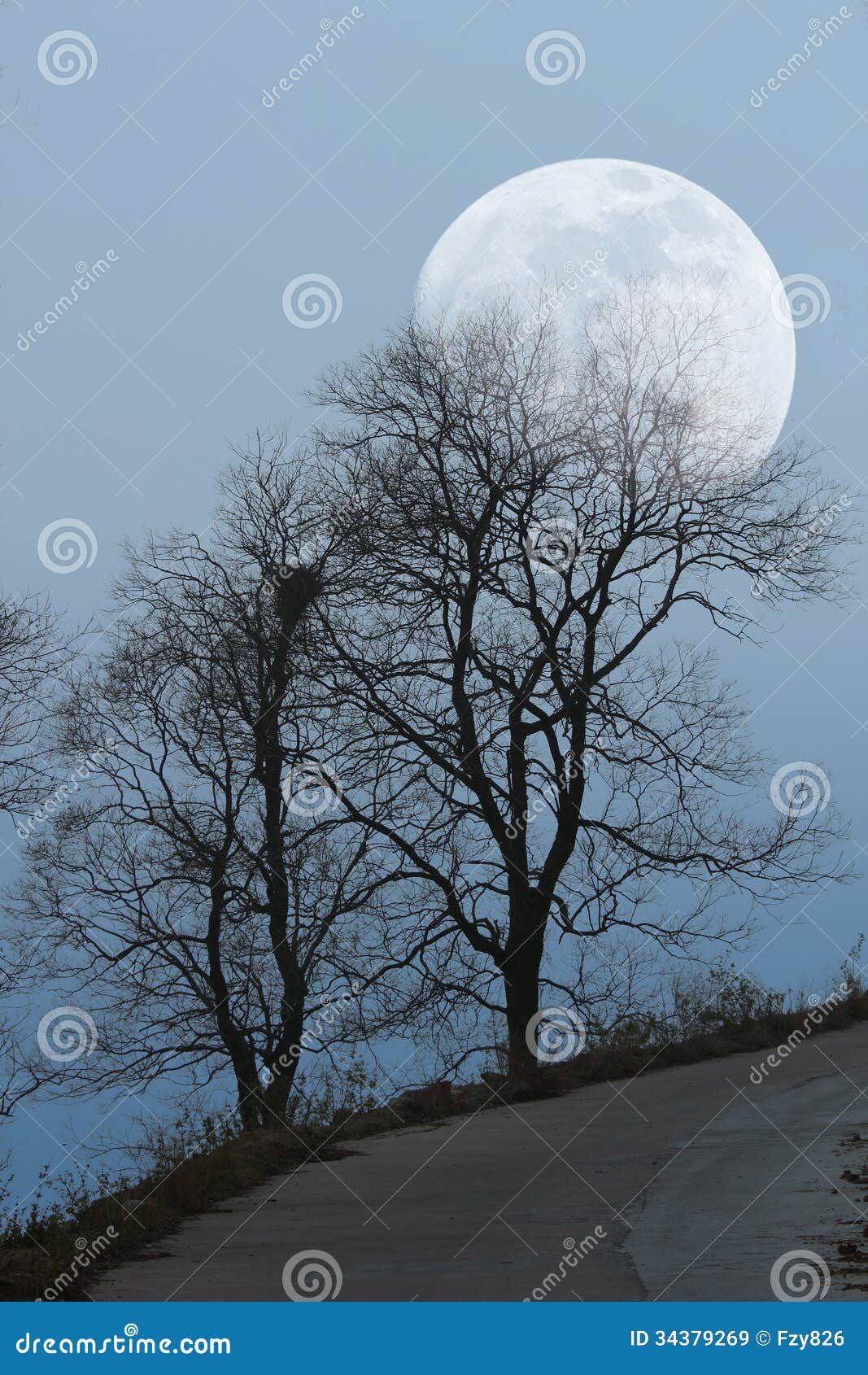 Tree and moon stock image. Image of grass, peaceful, full - 34379269