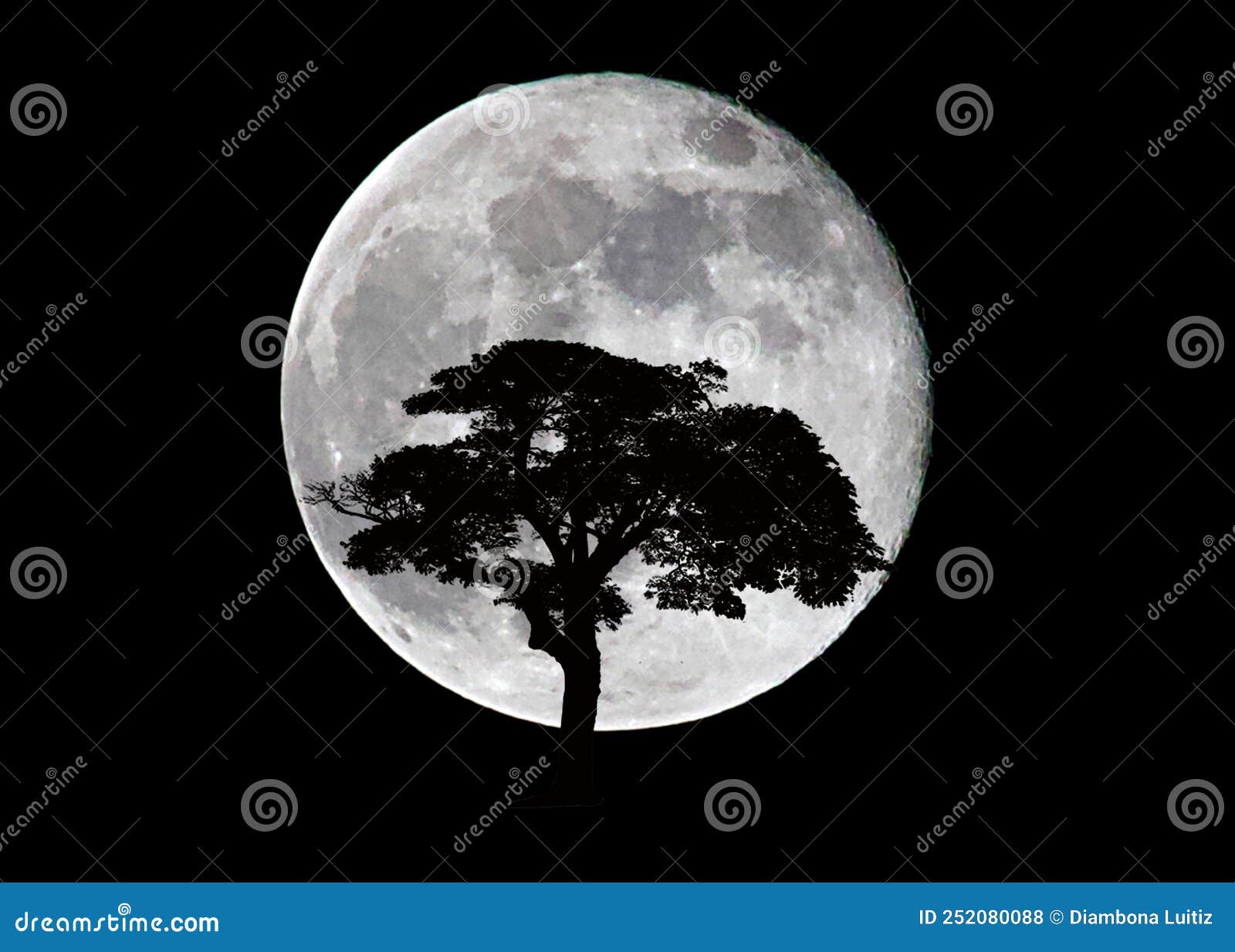 The tree and the moon stock photo. Image of shade, moon - 252080088