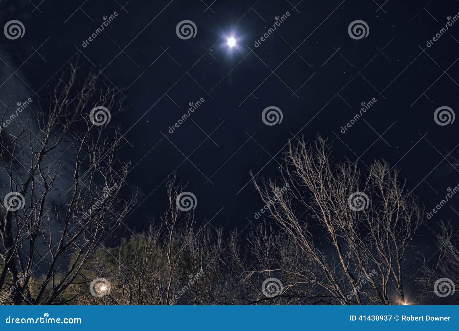 Tree and moon at night stock image. Image of limbs, creepy - 41430937
