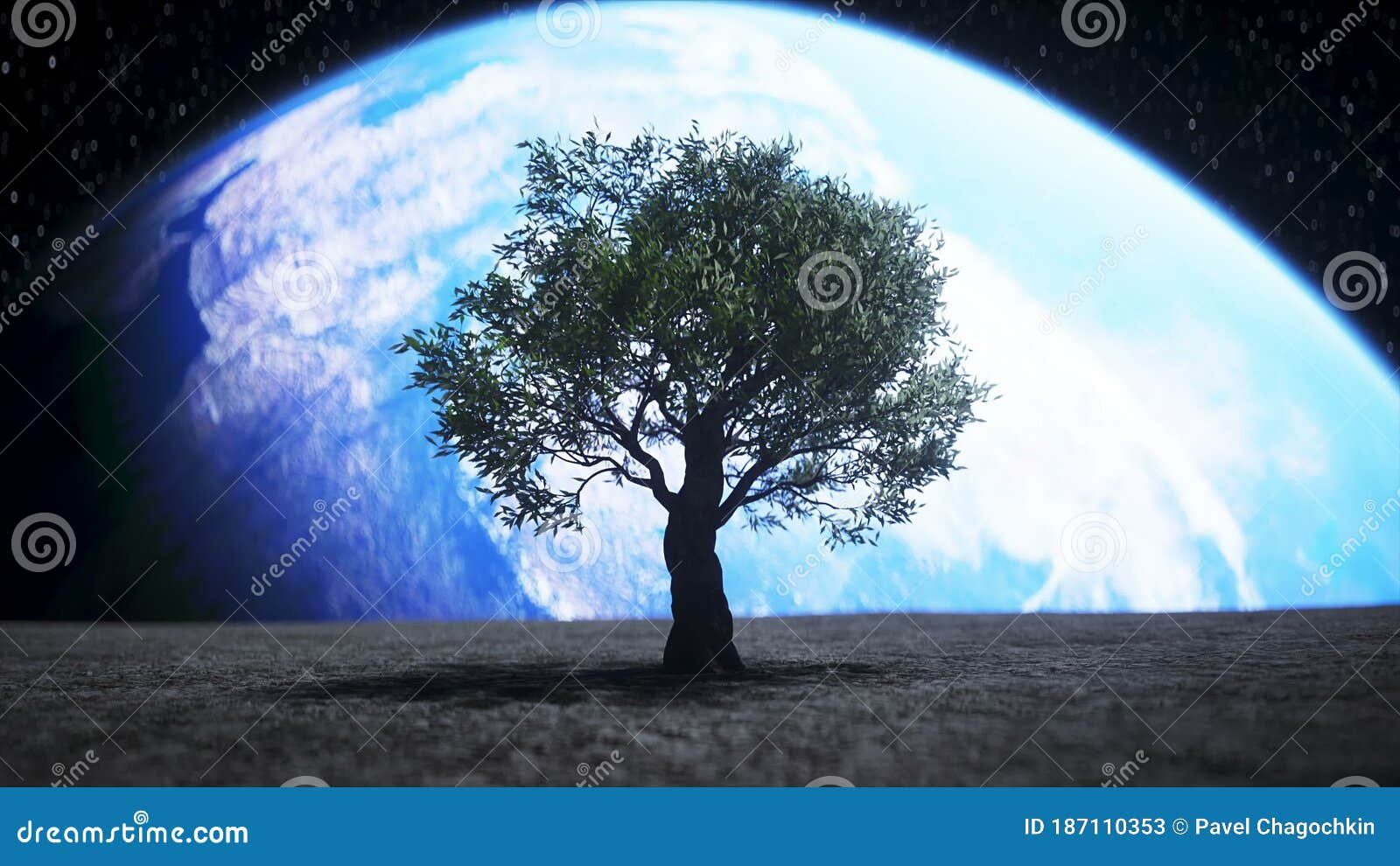 Tree on the Moon in Outer Space. 3d Rendering. Stock Video - Video of ...