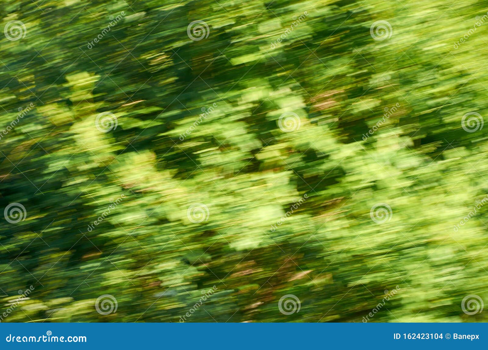 Tree in motion blur stock photo. Image of speed, landscape - 162423104
