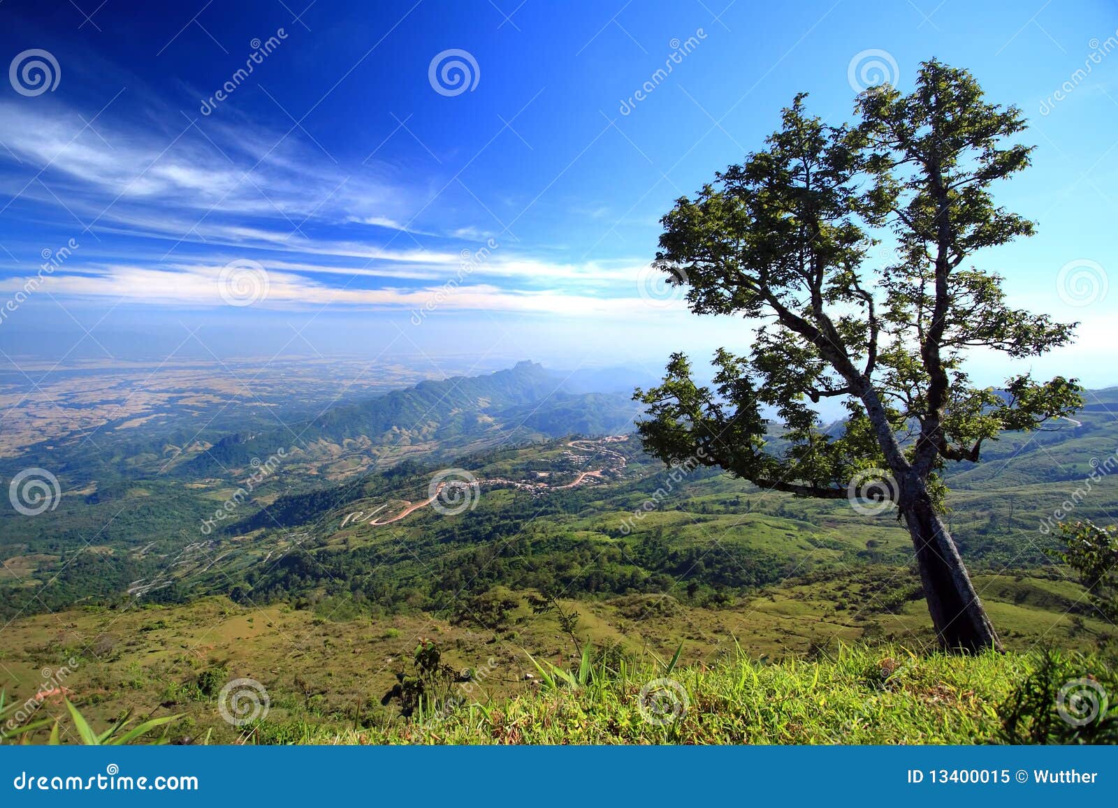 The tree on the mountain stock image. Image of landscape - 13400015