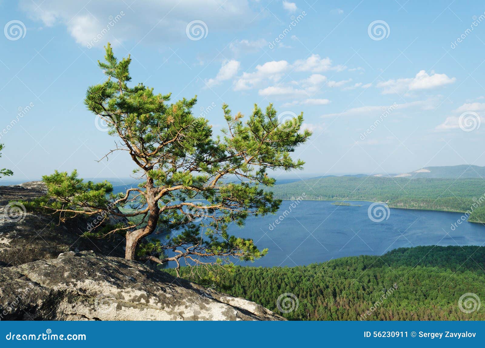 Tree at mountain top stock image. Image of landscape - 56230911
