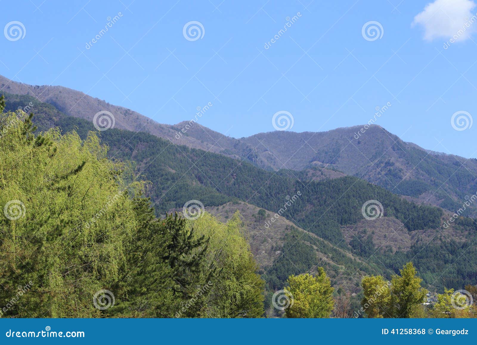 Tree and mountain view stock photo. Image of japanese - 41258368